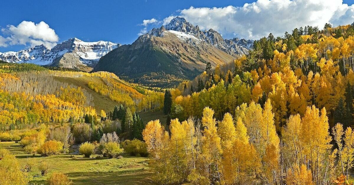 Colorado Cannabis Laws | Flowhub